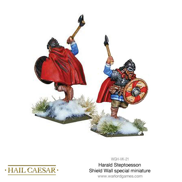 Shield Wall - The Dark Age Sagas volume I - Warlord Games